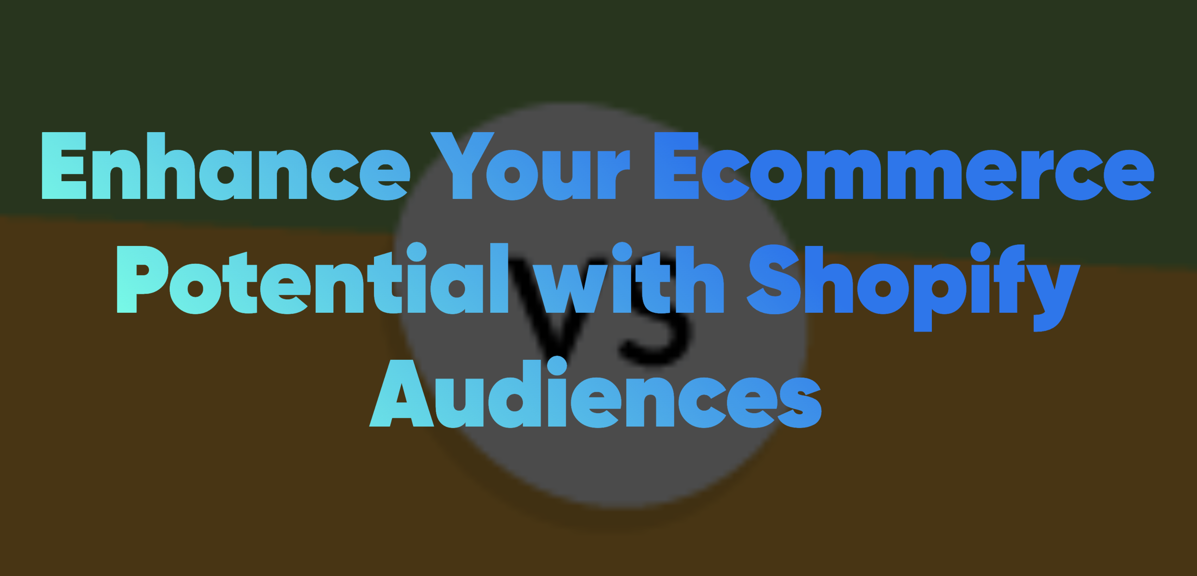 Enhance Your Ecommerce Potential with Shopify Audiences - Malek Alameh